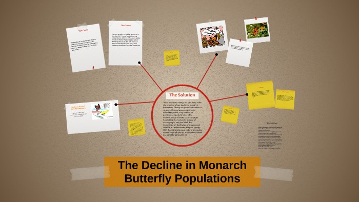 The Decline in Monarch Butterfly Populations by lauren brouwer on Prezi