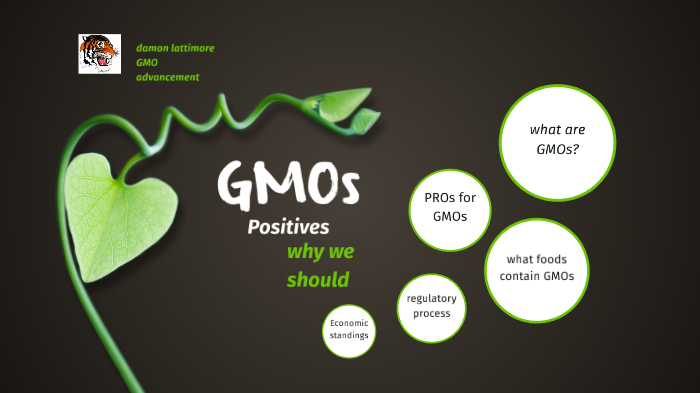 GMO positives by Damon Lattimore on Prezi