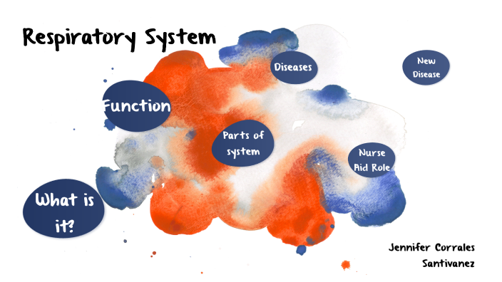 Respiratory System by Jennifer Corrales Santivanez on Prezi