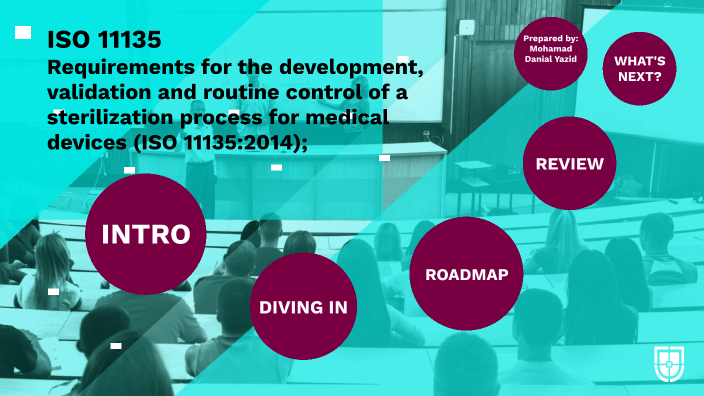 ISO 11135 Requirements for the development, validation and routine ...