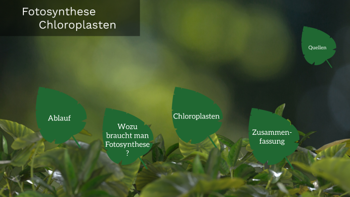 Click to add title by Carlotta Hahn on Prezi