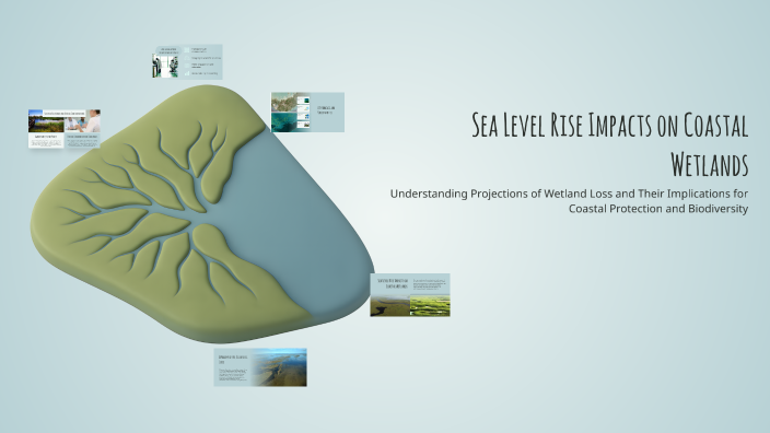 Sea Level Rise Impacts on Coastal Wetlands by Brenna Edwards on Prezi
