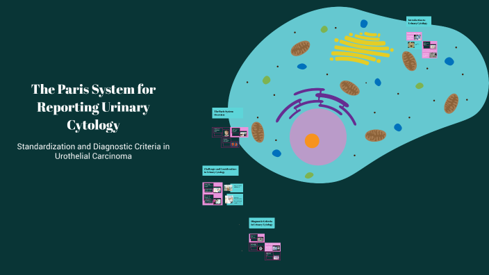 The Paris System for Reporting Urinary Cytology by fereshteh ameli on Prezi