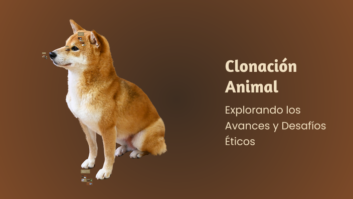 Clonación Animal by Camilo Araya on Prezi