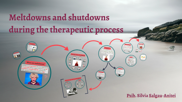Meltdowns and shutdowns during the therapeutic process by Silvia Anitei ...