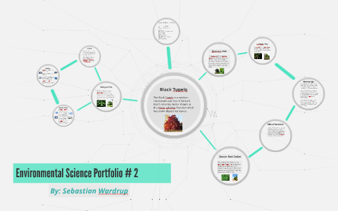 Environmental Science Portfolio # 2 by Sebastian Wardrup on Prezi