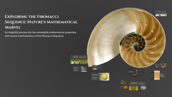 Exploring the Fibonacci Sequence: Nature's Mathematical Marvel by erika ...