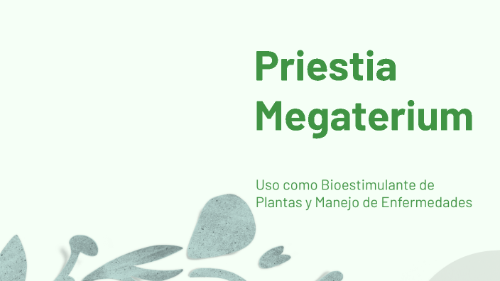 Control Biológico con Priestia Megaterium by paola cano on Prezi