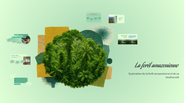 La Foresta Amazzonica by maria lourdes zinni on Prezi