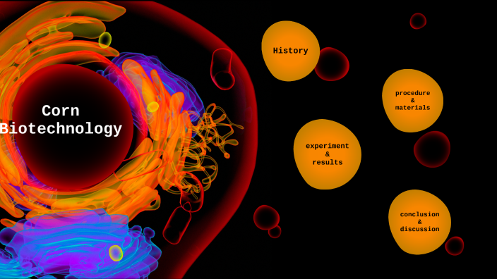 Corn Biotechnology by Kyra Kendall on Prezi