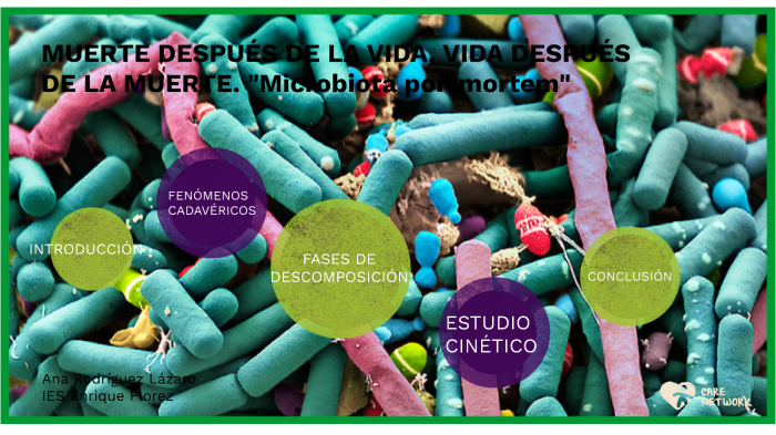 MICROBIOTA POST-MORTEM by Ana Rodriguez Lazaro on Prezi