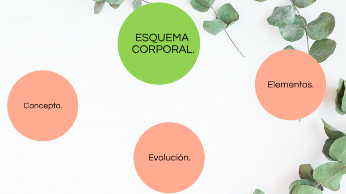 Esquema corporal. by Mica Tesitore on Prezi