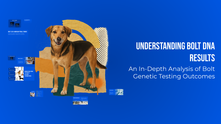 Understanding Bolt DNA Results by alyvia lucas on Prezi