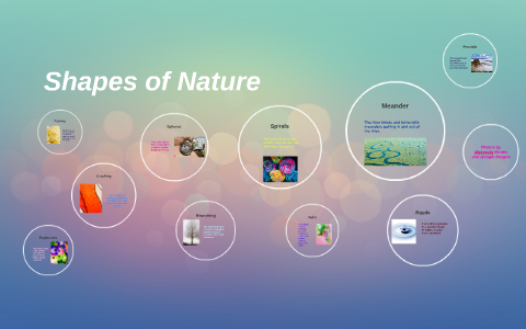 Shapes of Nature by MD Studios on Prezi