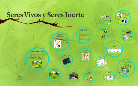 Seres vivos y seres inerte by Sonia Tejera