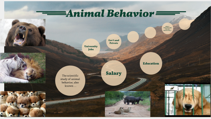 animal behavior ap psych project by nebronen jenkins on Prezi