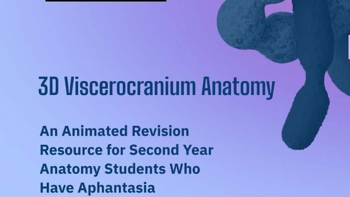 3D Viscerocranium Anatomy by Gracie Kay on Prezi