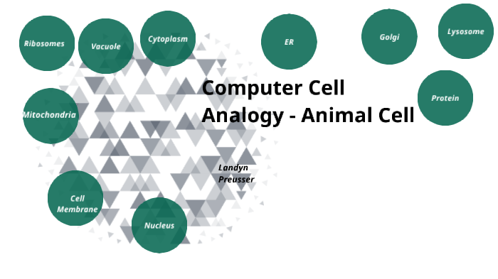 Computer Cell Analogy by Landyn Preusser on Prezi