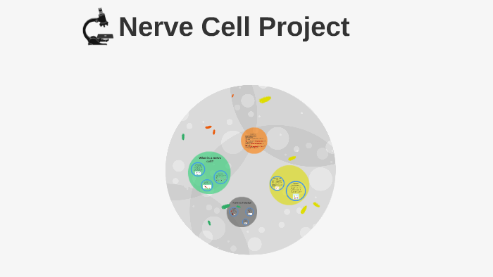 Nerve Cell Project by kendall myers on Prezi