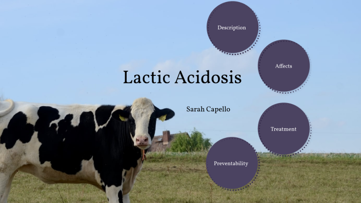 Lactic Acidosis by Sarah Capello on Prezi