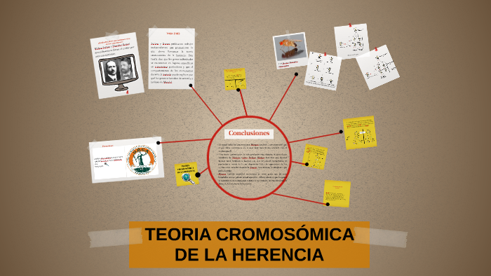 Teoría Cromosómica De La Herencia By Alejandra Garcia On Prezi