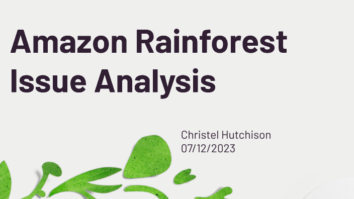 Active Destruction of the Amazon Rainforest by Christel Hutchison on Prezi