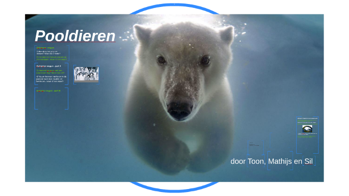 Pooldieren by Maarten Klarenbeek on Prezi