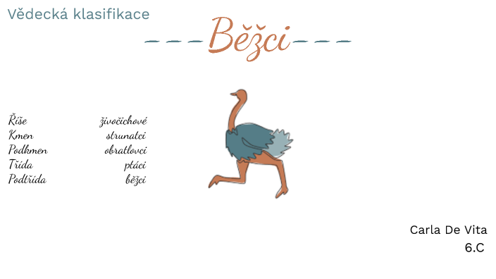 Ptáci BĚŽCI by Barbora Pincova on Prezi