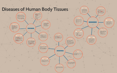 Diseases of Human Body Tissues by Julia Haumann on Prezi