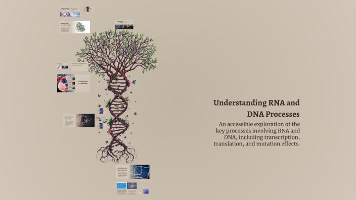 Understanding RNA and DNA Processes by REYES JOSHUA on Prezi
