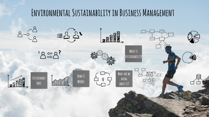 Environmental Sustainability in Business Management by Tommy Arditti on ...