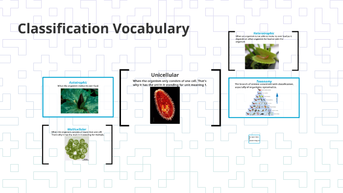 Classification Vocabulary by Never Mind