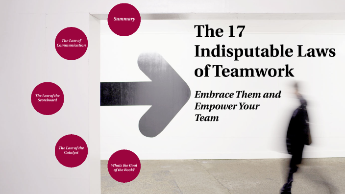 17 Laws of Teamwork by Brandon McCoy