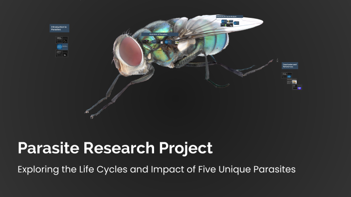 Parasite Research Project by Maria Acuna on Prezi