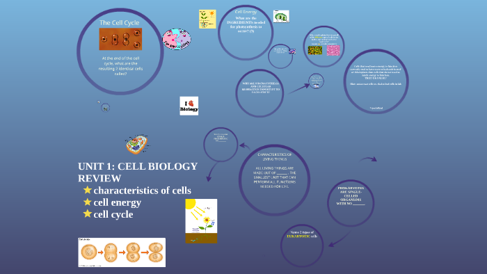 UNIT 1: CELL BIOLOGY REVIEW by laura la on Prezi