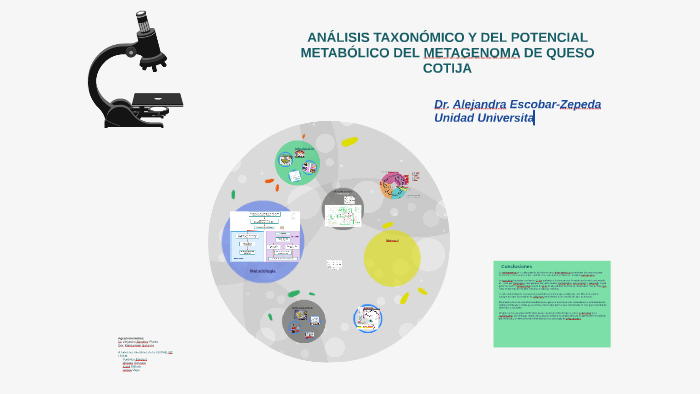 Análisis taxonómico y del potencial metabólico del metagenom by ...