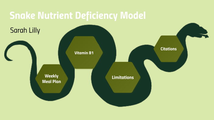 Snake Nutrient Deficiency Model by Sarah Lilly on Prezi
