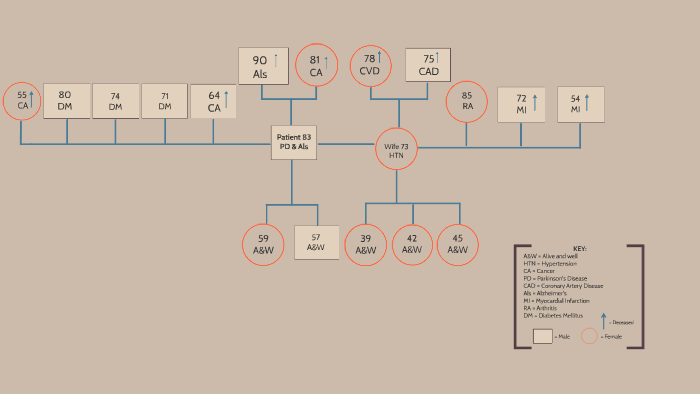 PATIENT GENOGRAM by Irina Choi on Prezi