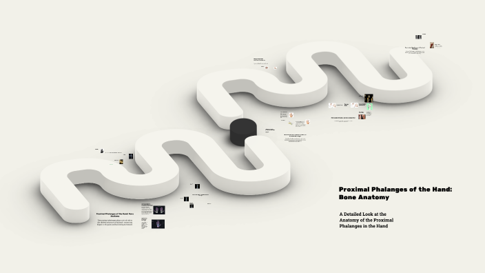 Proximal Phalanges of the Hand: Bone Anatomy by Aytunc Besesler on Prezi