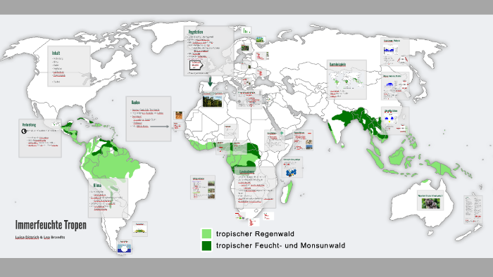 Immerfeuchte Tropen by Luisa Dittrich