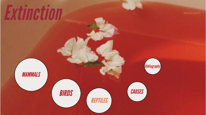 Animal Extinction by Alyssa Mauldin on Prezi