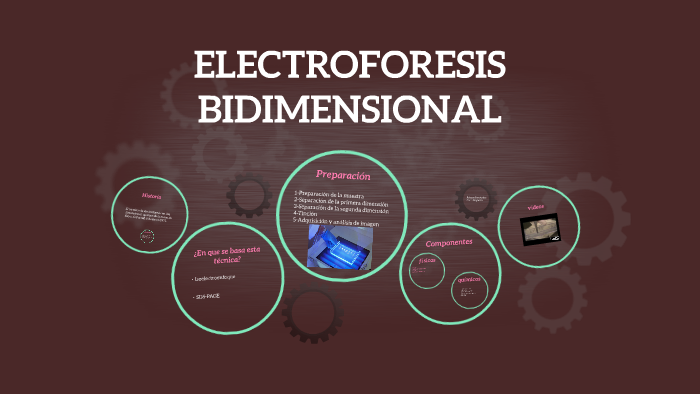 ELECTROFORESIS BIDIMENSIONAL by Carla Regueira Muñiz on Prezi