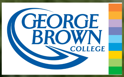 George Brown College: 2020 Partnerships Working Group Overview by matt ...