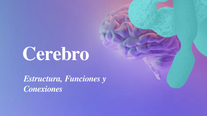 Cerebro by ODETTE CASTRO on Prezi