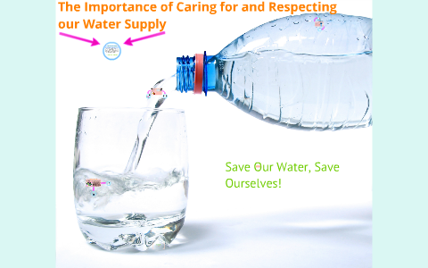 The Importance of Caring for and Respecting our Water Supply by Roz ...