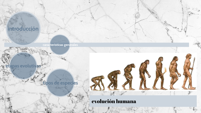 evolucion humanam by noa gomez on Prezi