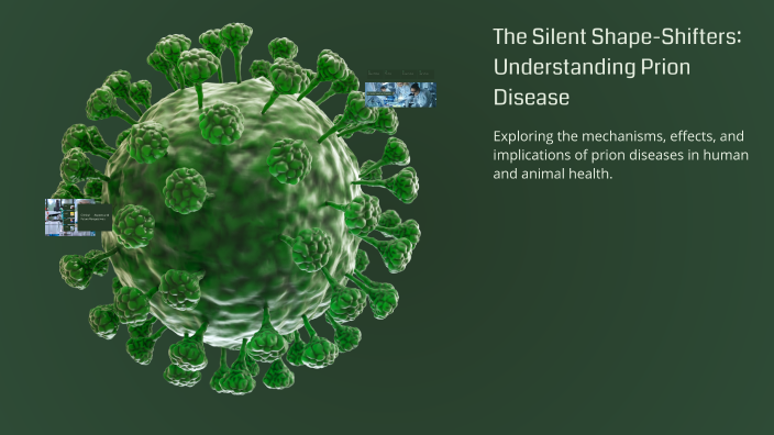 The Silent Shape-Shifters: Understanding Prion Disease by Kaylin Miller ...
