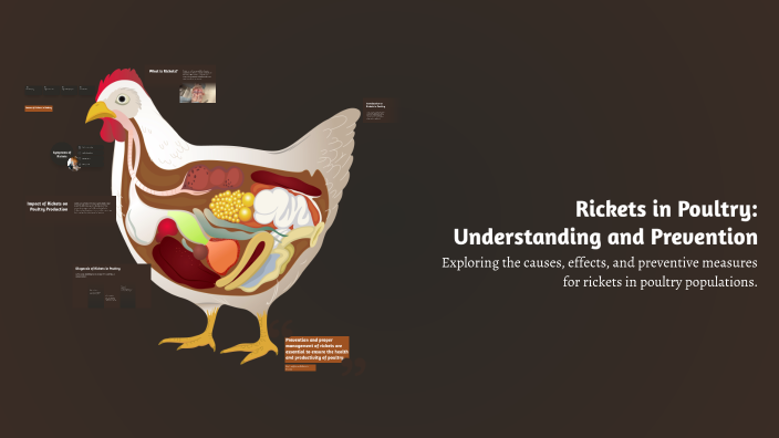 Rickets in Poultry: Understanding and Prevention by wenner santiago on ...