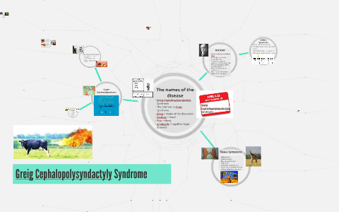 Greig Cephalopolysyndactyly Syndrome by