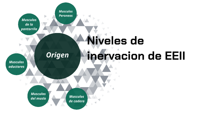 Inervación de EEII by fabia cancino on Prezi
